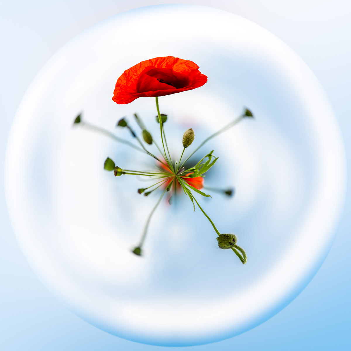 Expert photographer in Mini Planet photography – Paul Marnef