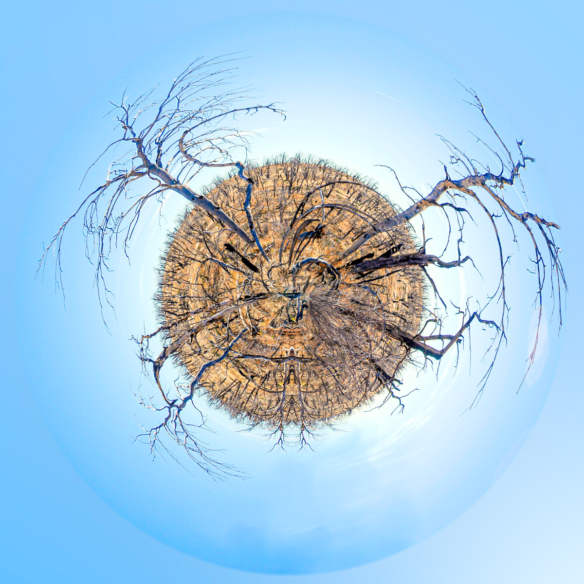 Mini Planets USA – Art Photos of the Great Outdoors