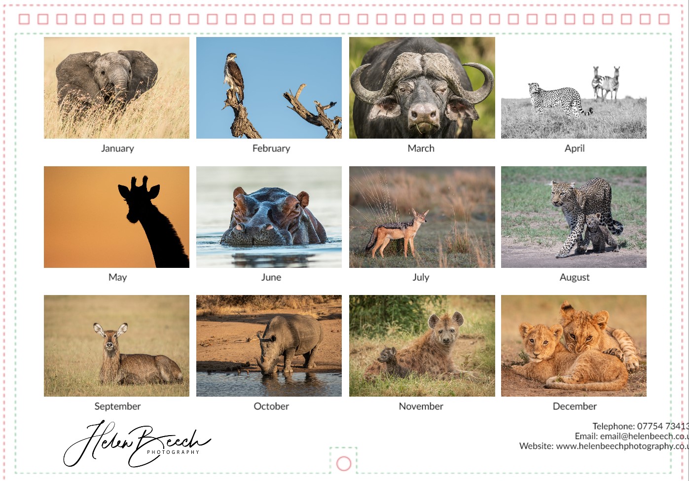 Calendar | Helen Beech Wildlife Photography